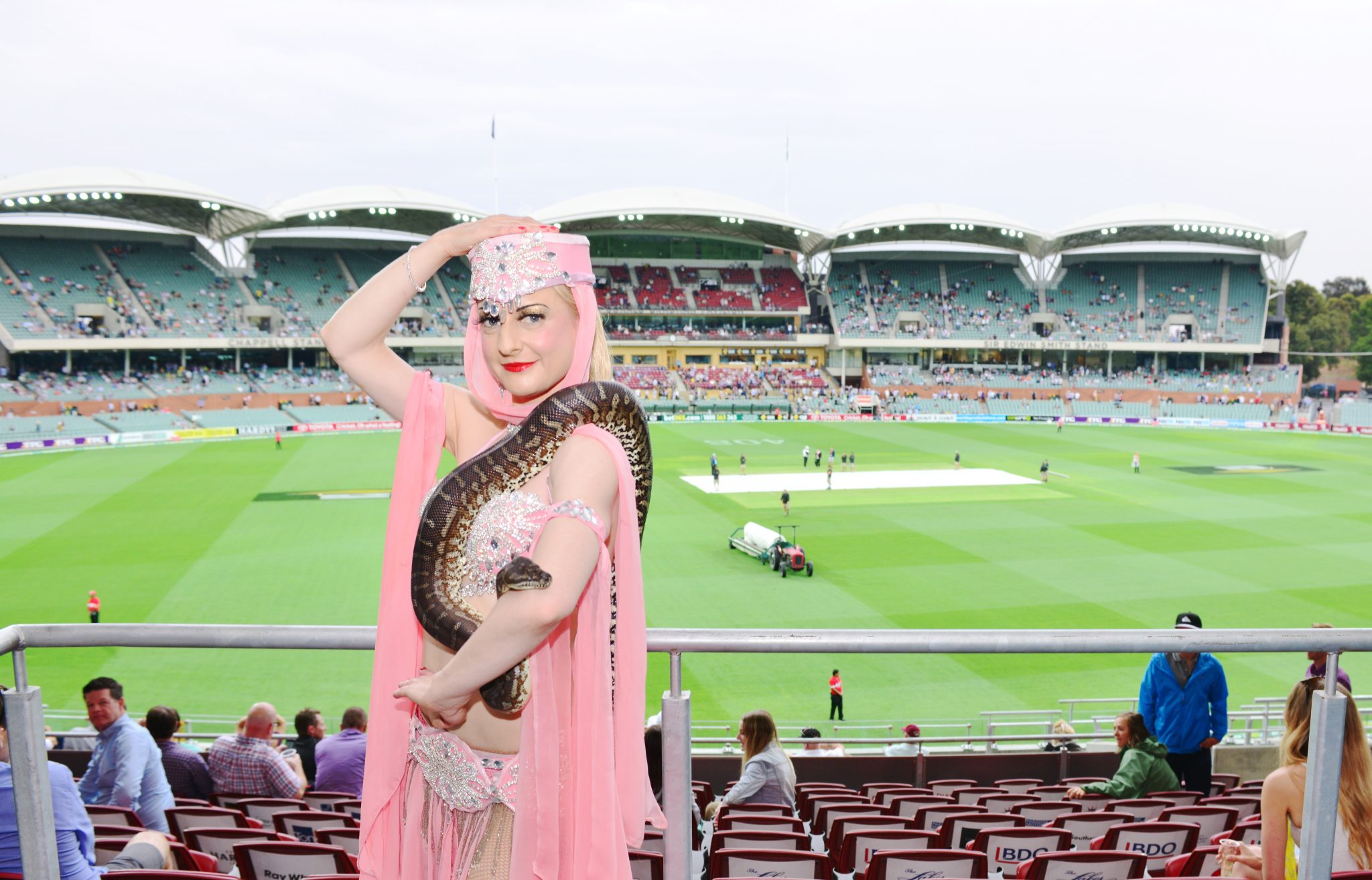 Serpent Dancer Snake Dancer, Cabaret Performer, Side Shows | Flavella L ...